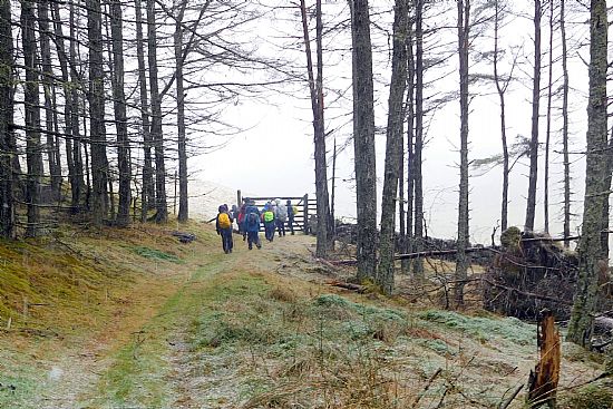 St Andrews & NE Fife Ramblers Group | 2017 Walks Gallery