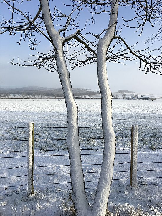 St Andrews & NE Fife Ramblers Group | 2018 WALKS GALLERY