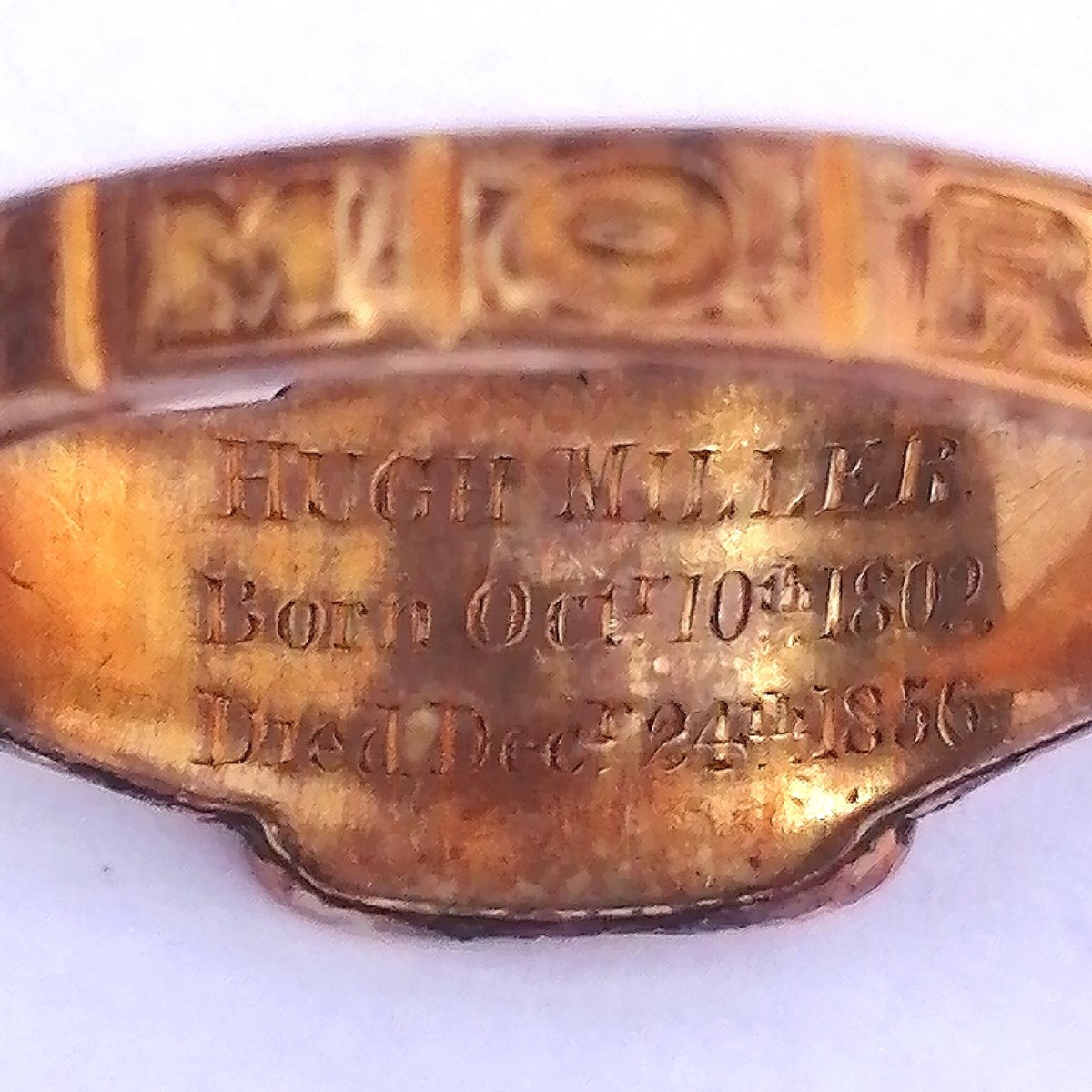 The Friends of Hugh Miller | News | A golden find on a beach in South ...