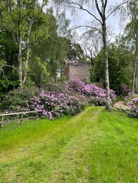 Castle Cluggy | Home