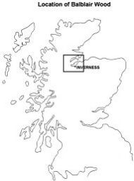 North of Scotland Archaeological Society | Beauly - Balblair Woods