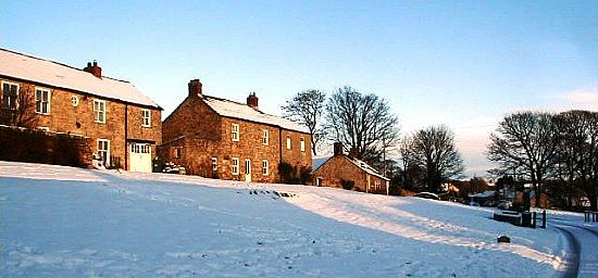 Thornton Steward | Wintery Scenes