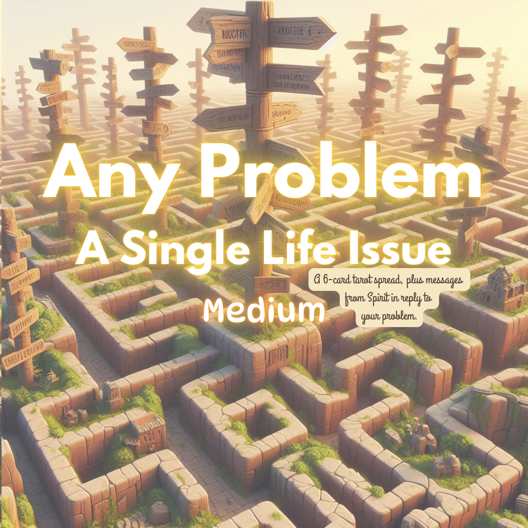 Psychic Clairvoyant Pam Richards | Email Reading: One Issue: Medium