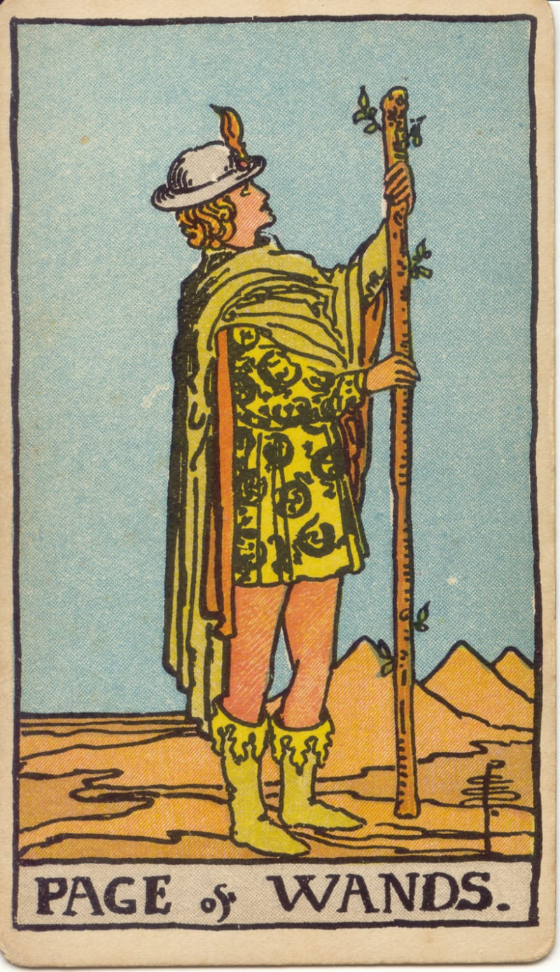 Psychic Clairvoyant Pam Richards | Page of Wands