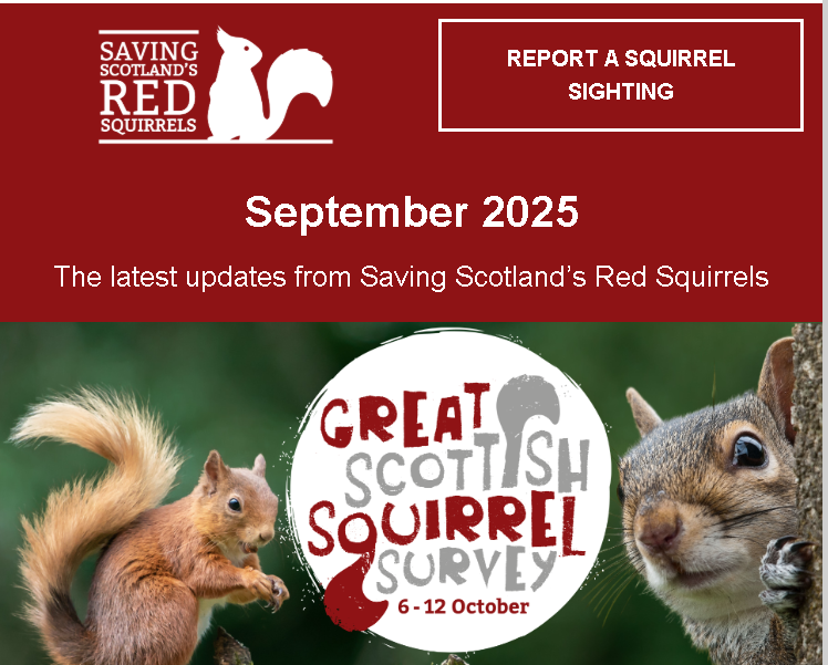 Rhu and Shandon Community Council | News | Great Scottish Squirrel Survey
